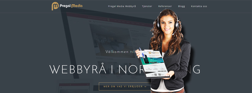 Hemsidor i WordPress Billigt till 2017 | Pregal Media Webshop